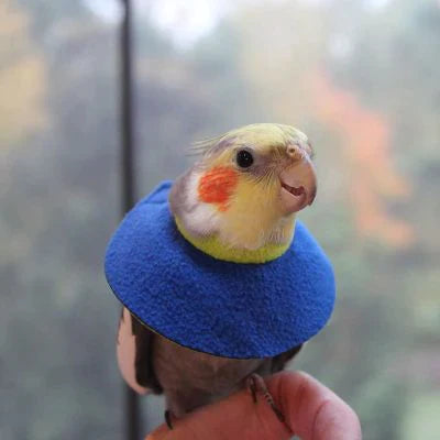 Feather Wear Shop For Parrots, Plucking Birds and Chickens